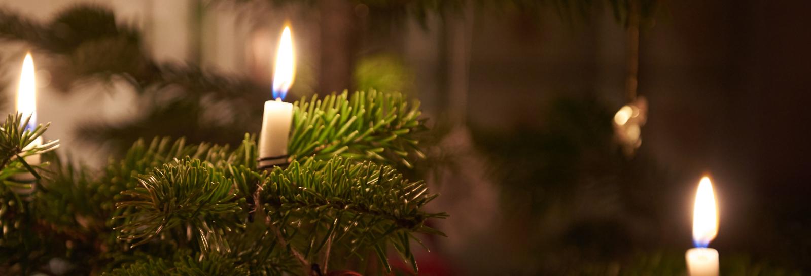 Når julen gør ondt | Københavns Kommunes hjemmeside